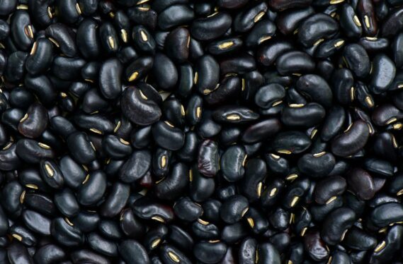 BM Trading – Home English – BM TRADING